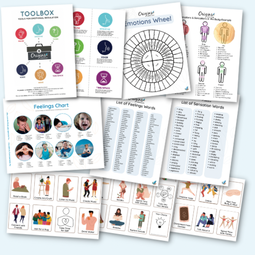 Homeschool Emotional Regulation Bundle | Origins Store