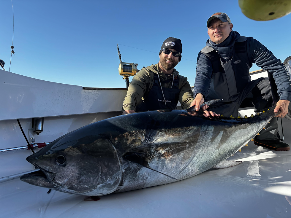 Bluefin Tuna Trip - 12/9/2023