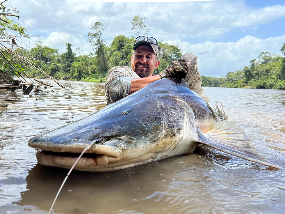Suriname 2024 - Hunt for the Piraiba