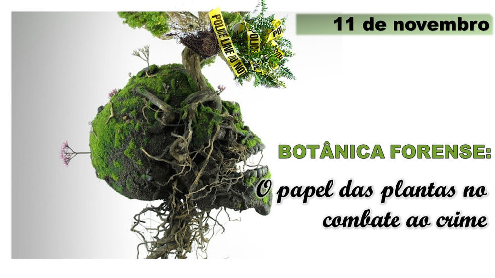 Cases where forensic botany has been used in criminal investigations