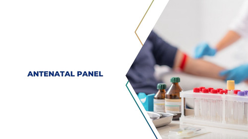 ANTENATAL PANEL - PN040 | Infinity Diagnostic