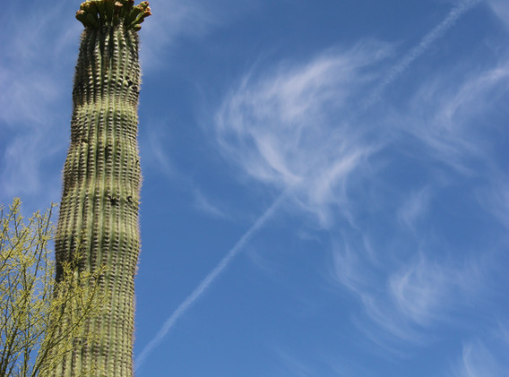 ARCHIVE | Frank Waters Org