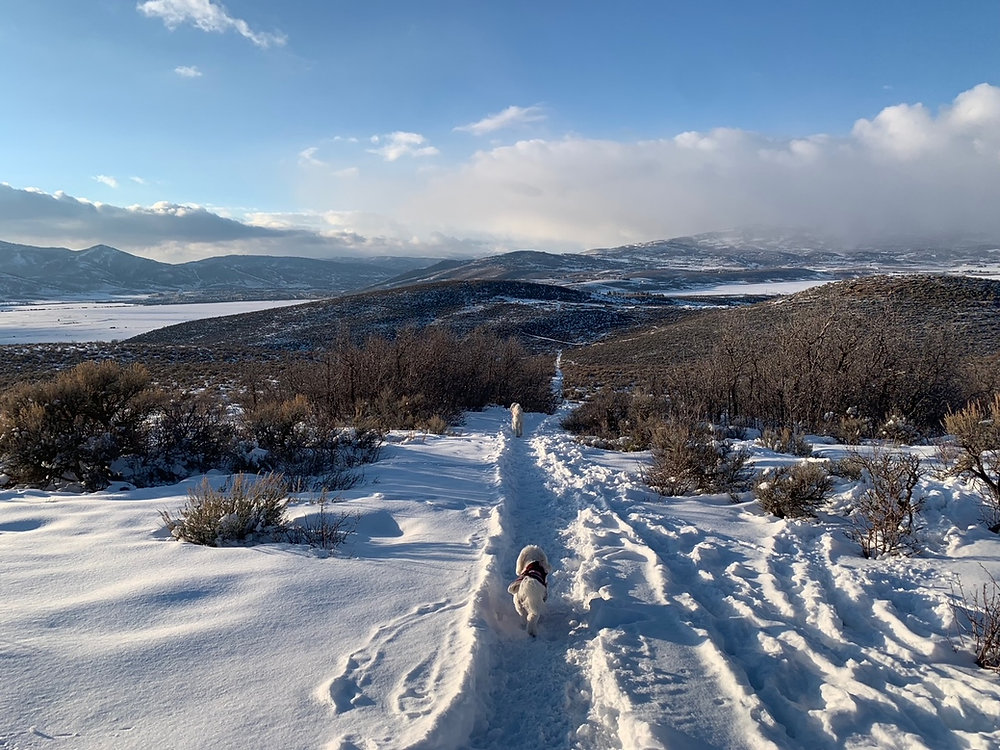 Round Valley