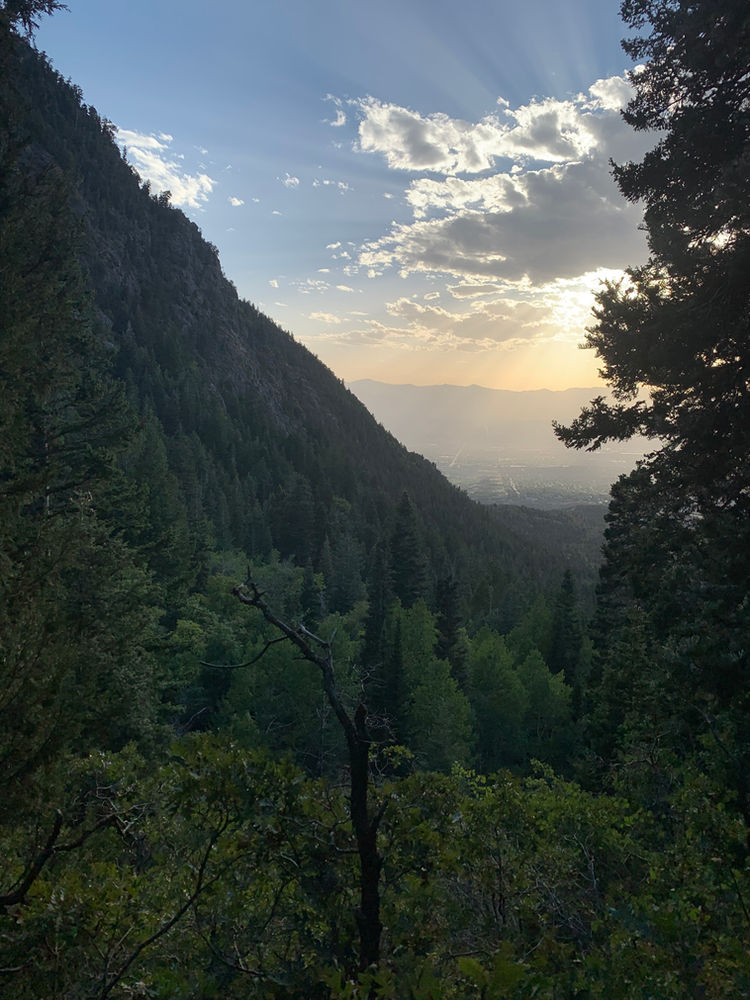 Bells Canyon to Falls ︎