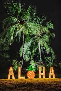 MARQUEE SIGNS | Manzanoentertainment