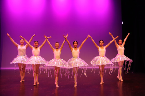 Jellyfish | Step Beyond Studios