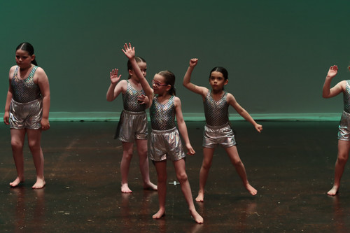 Minnow Fish | Step Beyond Studios