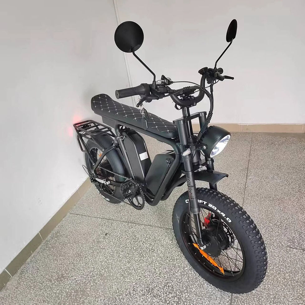 Electric Bike 52V Dual Motor Bafang 2000W Lithium Batterys 44Ah Full ...