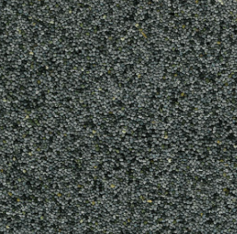 Poppy Seeds | FANTASTIC - NO PLAS