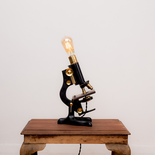 Deluxe Brass Microscope Lamp | Upswitch