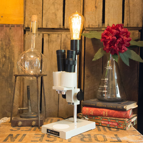 Industrial Grey Microscope Lamp | Upswitch