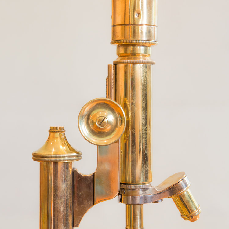 c1900's Leitz All Brass Microscope | Upswitch