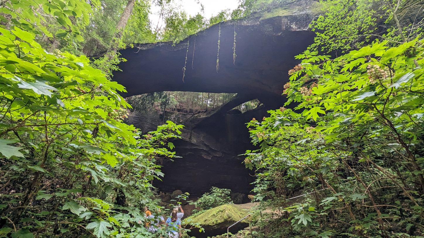 Visit The Park | Natural Bridge