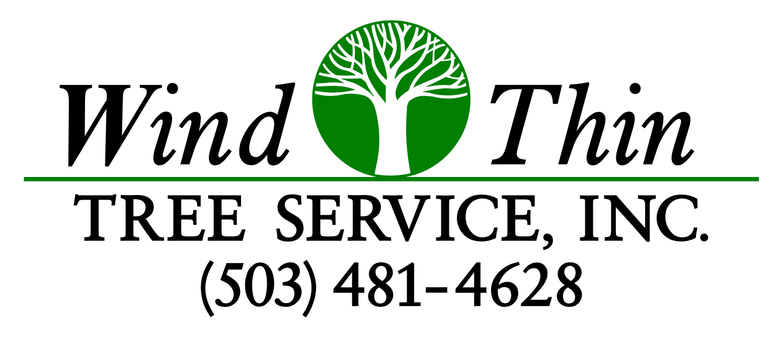 windy trees llc