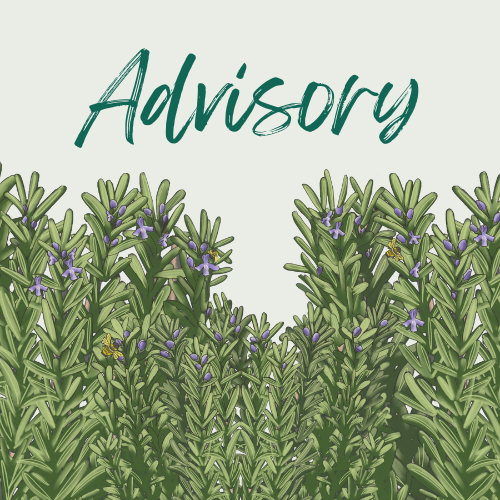 Home | Patchwork Portfolio