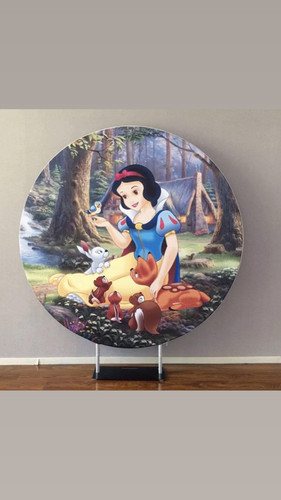 Snow White Backdrop Rent | AMC Party Creations
