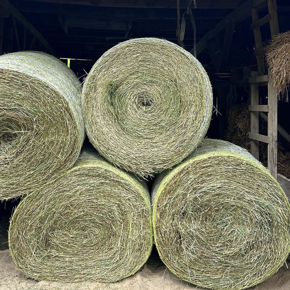 Clean hay fields and clean creamery: a sense of satisfaction