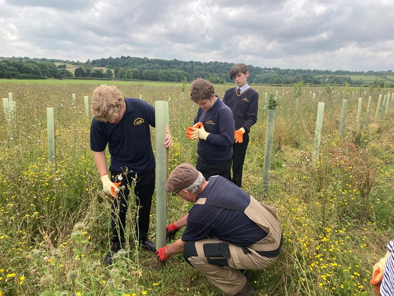 HADLEIGH HIGH SCHOOL HELPS FARM WITH ITS TREES