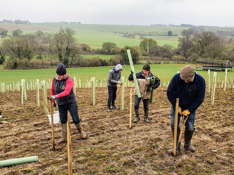 TREE PLANTING CONTINUES ON THE FARM IN 2021