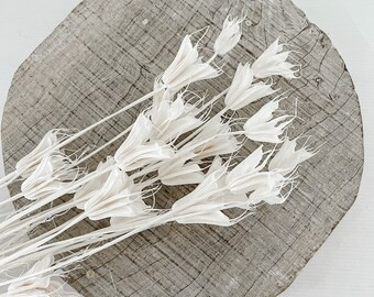 Octagon flowers | BakeAssist