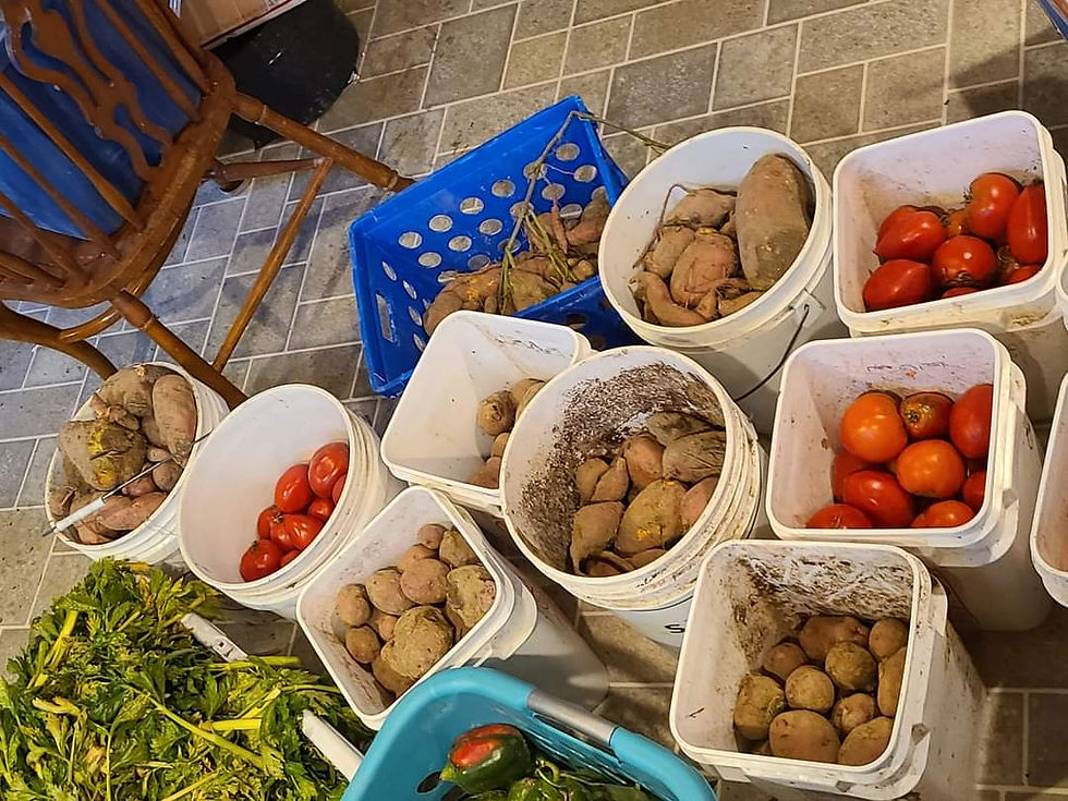All Products | Moeller Family Farm