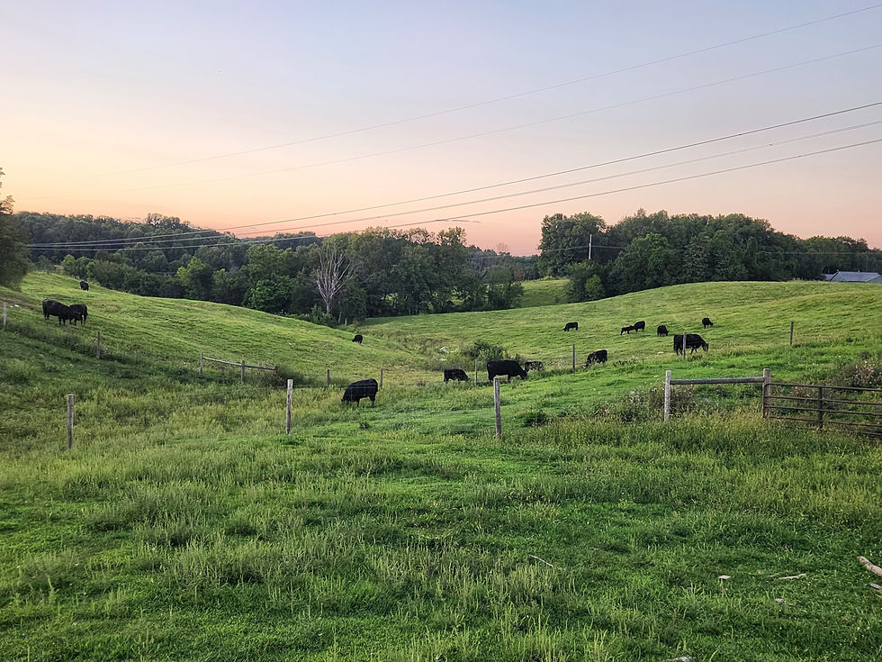 Moeller Family Farm | farm fresh | 26157 West Hamburg Road, Oldenburg ...