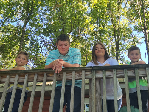 All Products | Moeller Family Farm