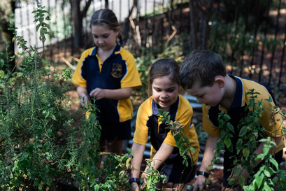 Our Lady Help of Christians Primary School | OLHC Eltham