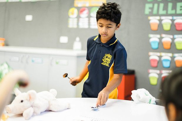 Enrolment | St Andrew's Primary School