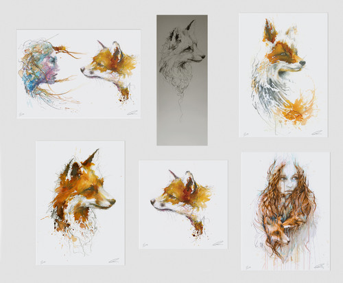 The Curious Fox - Set of Four Postcards | carnegriffiths