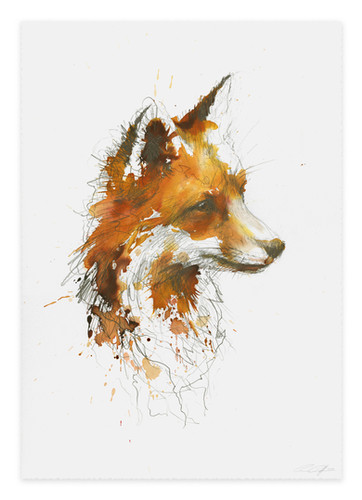 The Solitary Fox -Original Artwork | carnegriffiths