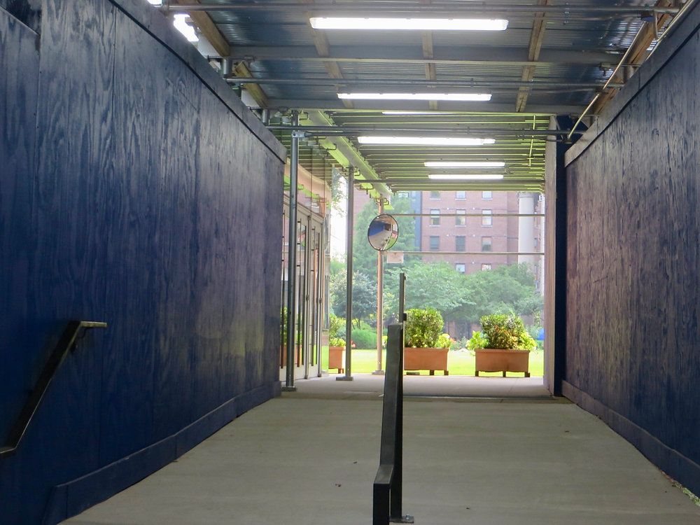 The politics of scaffolding: How sidewalk sheds shape New York City
