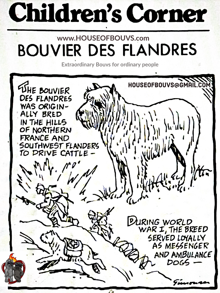 PRINT AND PLAY: Bouvier Coloring Page