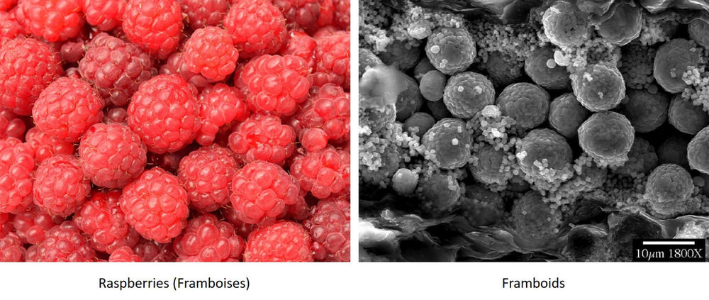 WHERE IS THE CHEMOCLINE? PART 2: FRAMBOIDS