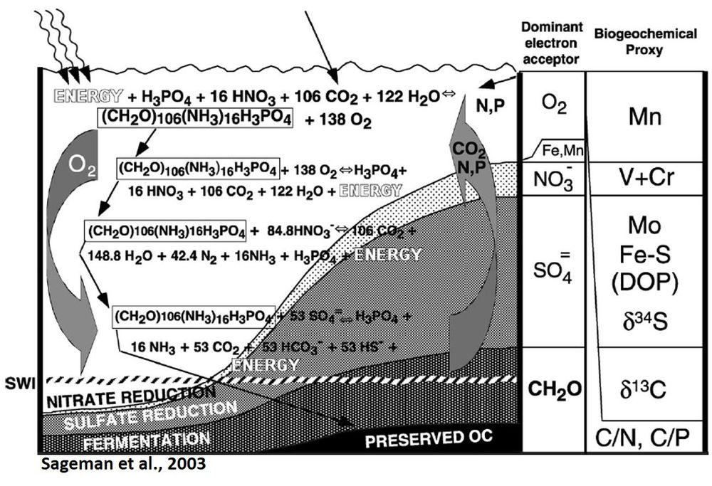 WHERE IS THE CHEMOCLINE? PART 5: WHY THE ANCIENT CHEMOCLINE MATTERS TODAY