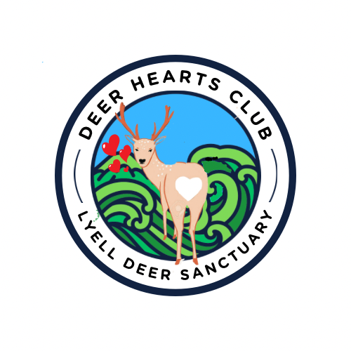 Deer Hearts Club Membership | Lyell Deer Sanctuary