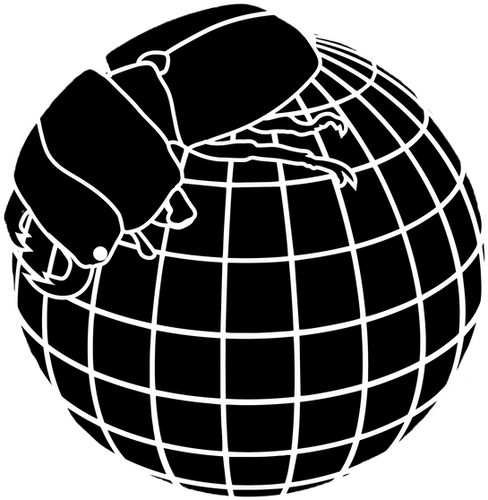 LIVE BEETLE METAMORPHOSIS ( LARVAE ) KIT | COLEOPTERRA.COM