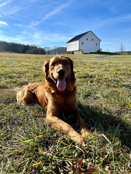 Gallery | Rolling Hills Farm