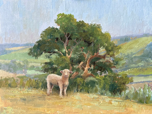 Baby Baa in Devon - Original Oil Painting | Jan Jewell