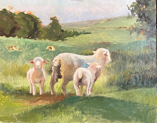 Baa - Original Oil Painting | Jan Jewell