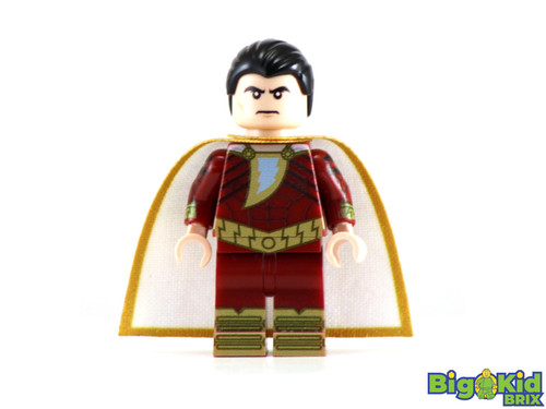 SHAZOOM Custom Printed on Lego Minifigure! | bigkidbrix