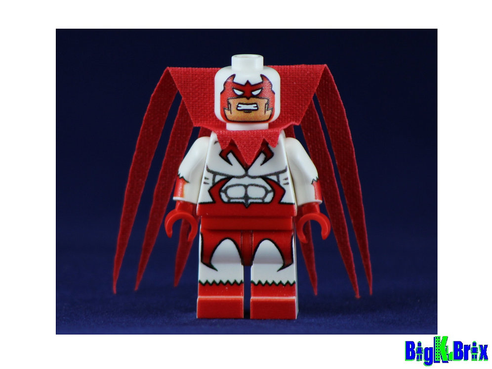 HAWK Custom Printed & Inspired DC Lego Minifigure | bigkidbrix