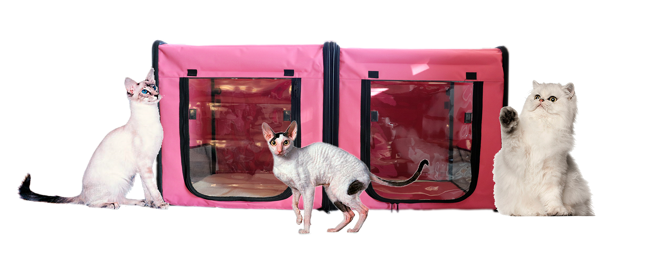 sturdi, cat cage, cat show, cat show cage