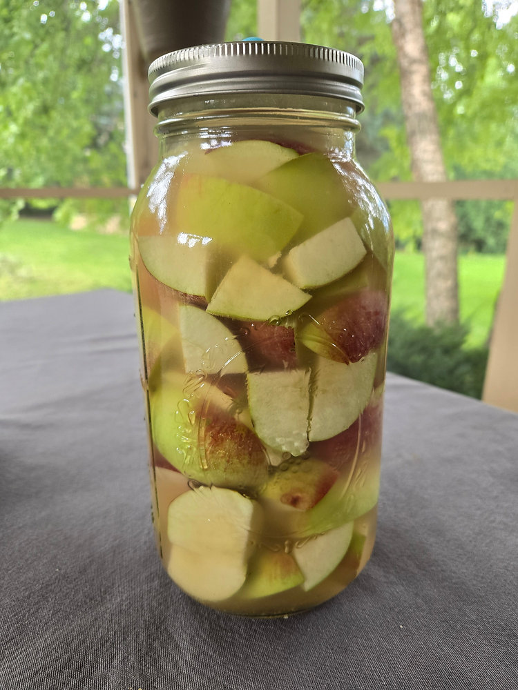 New Recipe: Fermented Apples