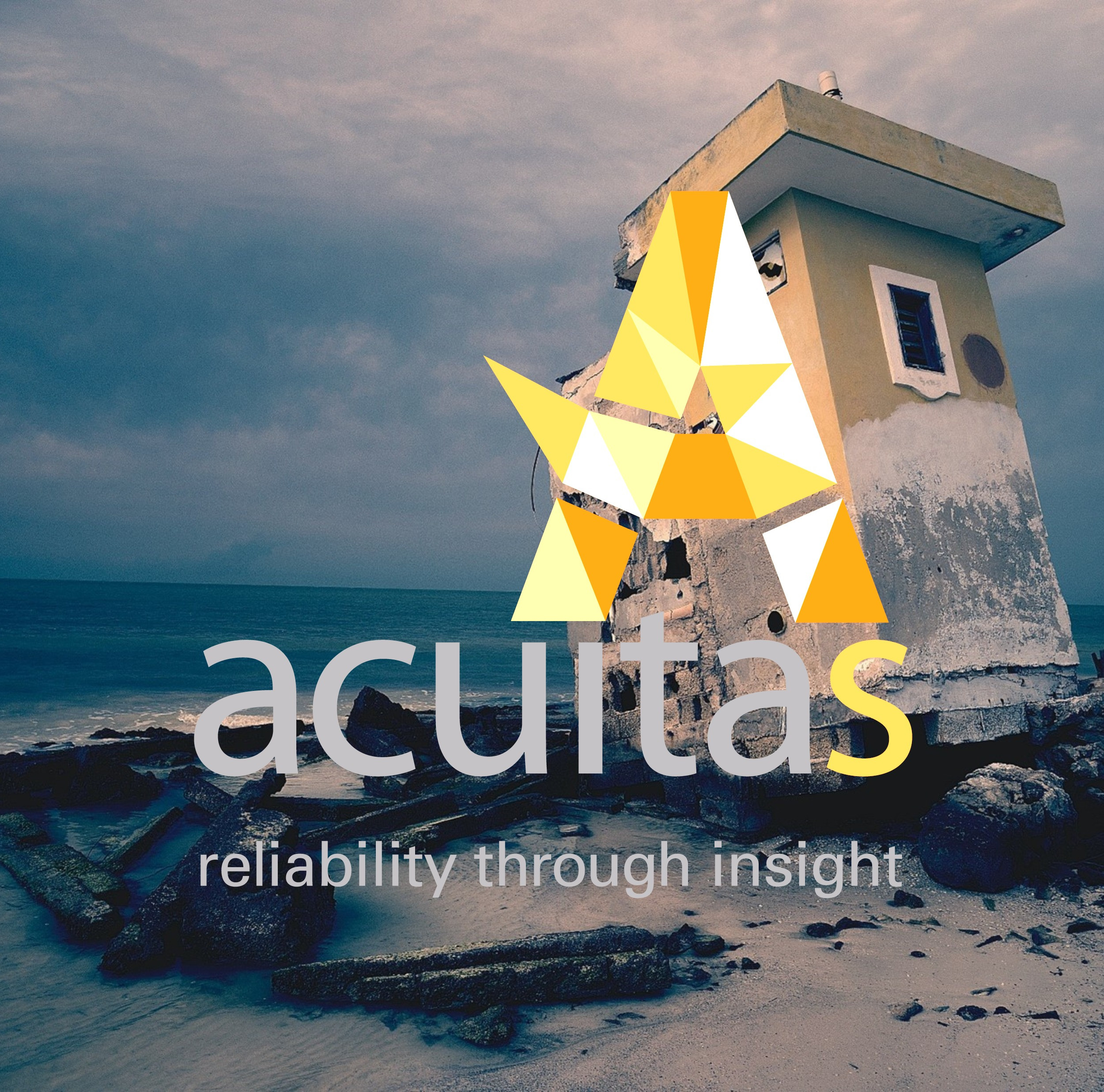 Reliability Management Course | Acuitas