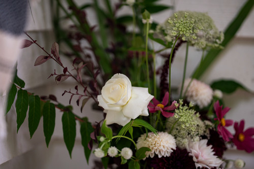 Subscription | Hamilton Farms