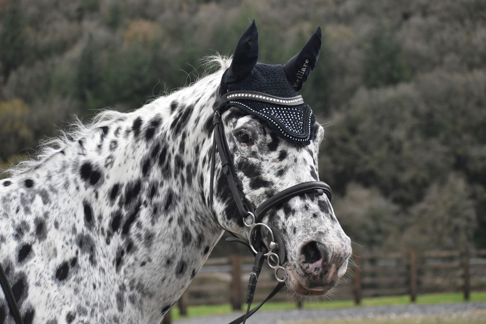 Spotty man turns rocket man!