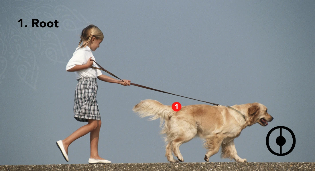 Healing & Balancing: The Dog’s Nine Major Chakra Points.