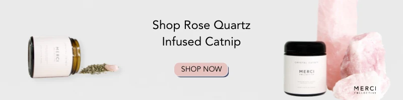 Crystal Healing for Cats: Holistic Benefits & Guide