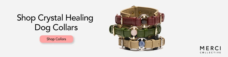 Why Is Amethyst So Good For My Dog Or Cat? I Crystal Healing